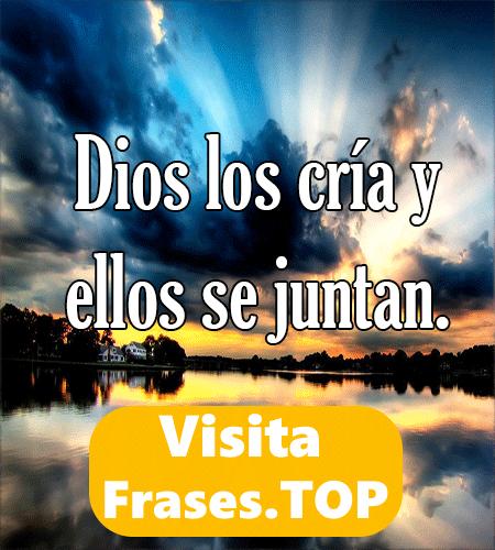 Refranes - Frases